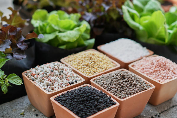 The importance of macro and microelements in plant life - Bonaplant