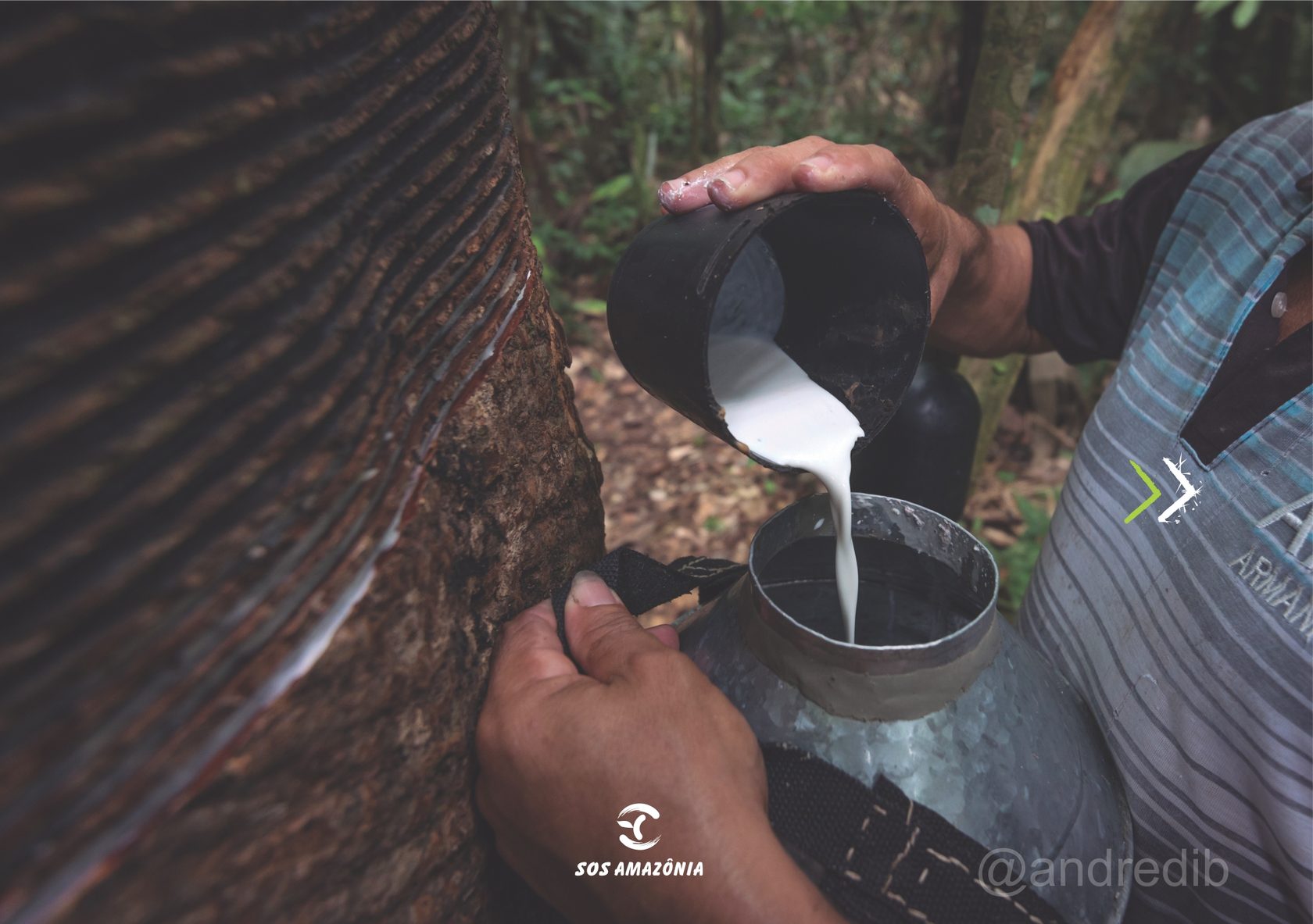 32 anos da SOS Amazônia - uma história de (Re)existência