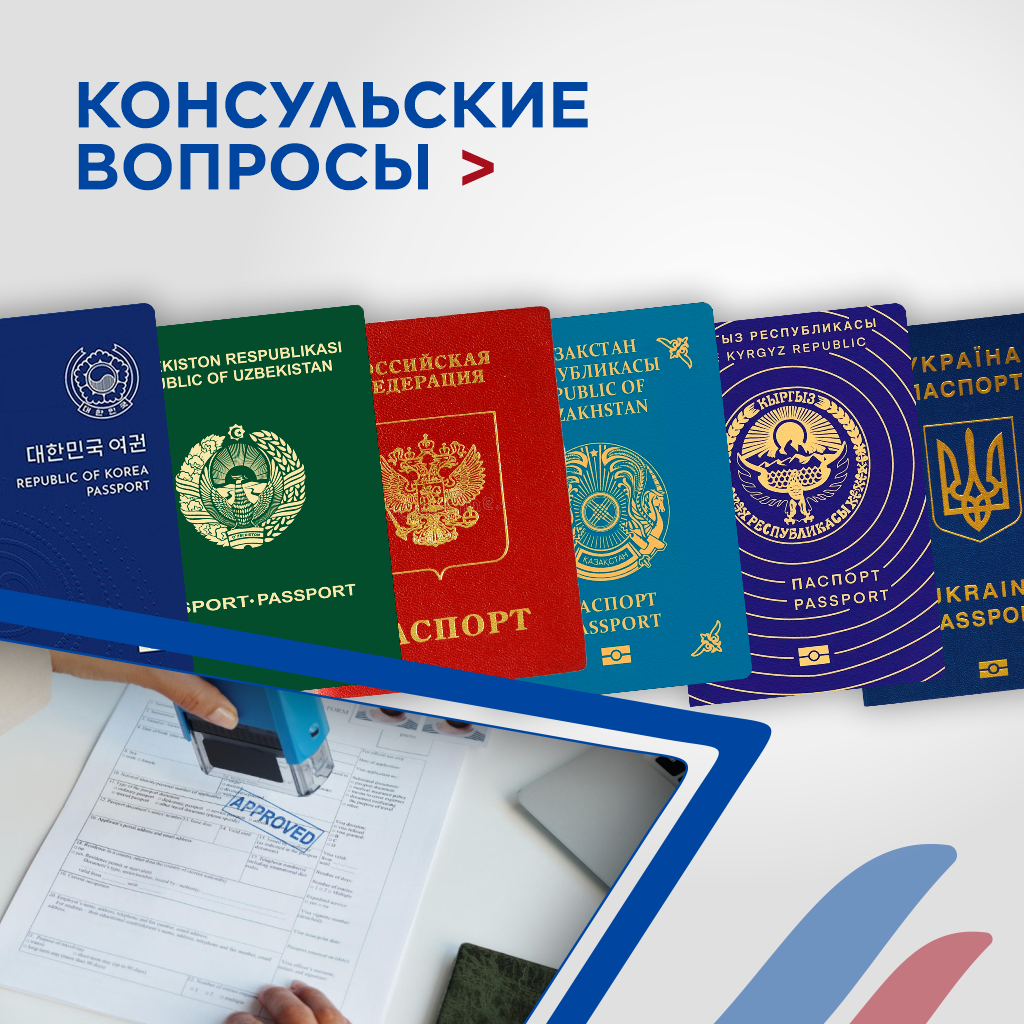 Korea Tour - Service