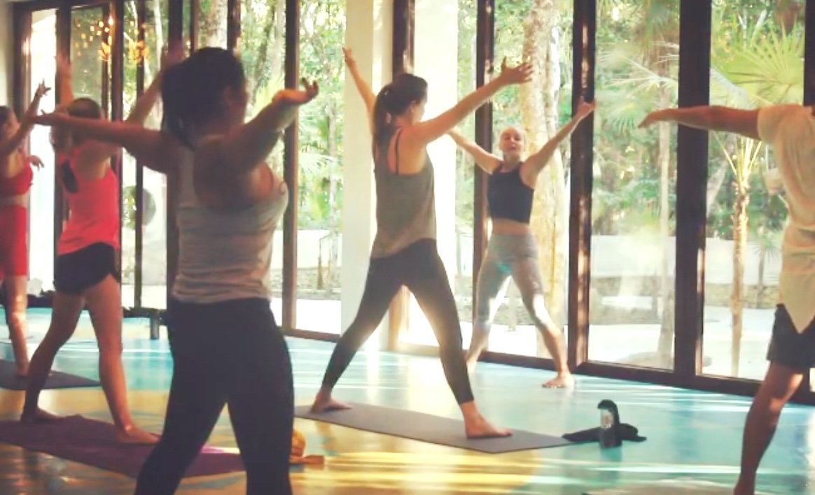 Yoga Coach, Yoga Teacher Coaching | Pranacore