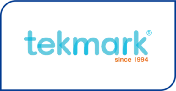 Semiconductor Executive Summit Asia-HOME