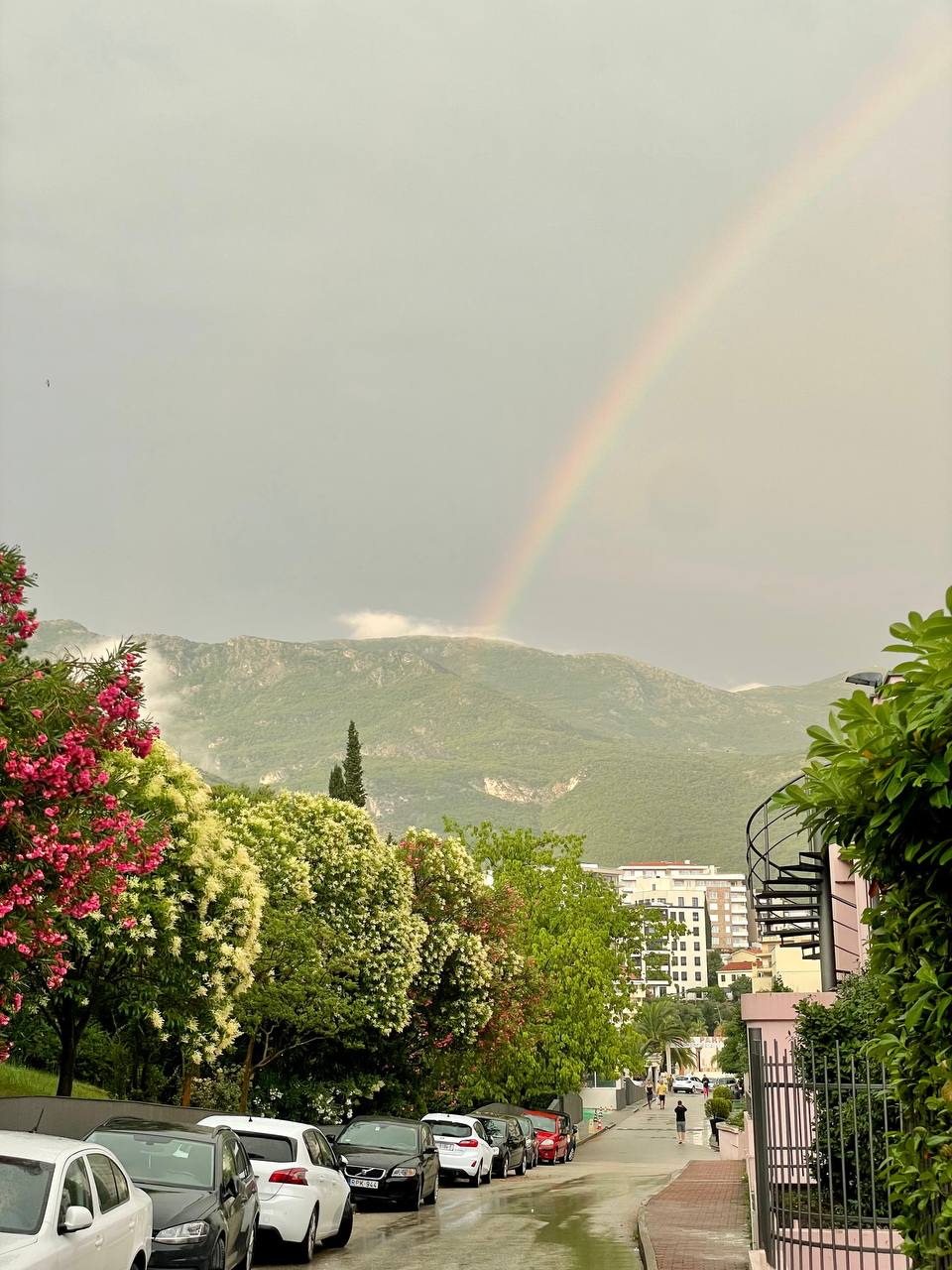 Spring in Montenegro | SUNRAF seasons