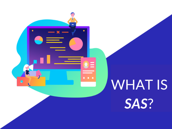 SAS Programming Basics: 2024 Edition