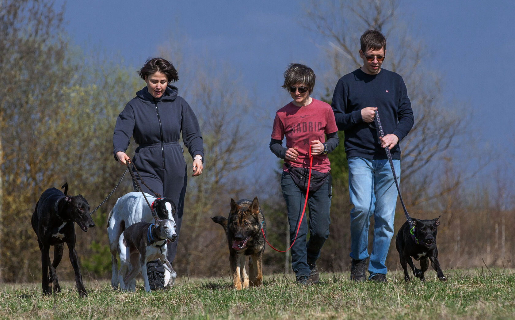 We are the О2 Pets team
