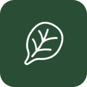 Greeneration | Edible Flowers, Microgreens, Specialities in Dubai