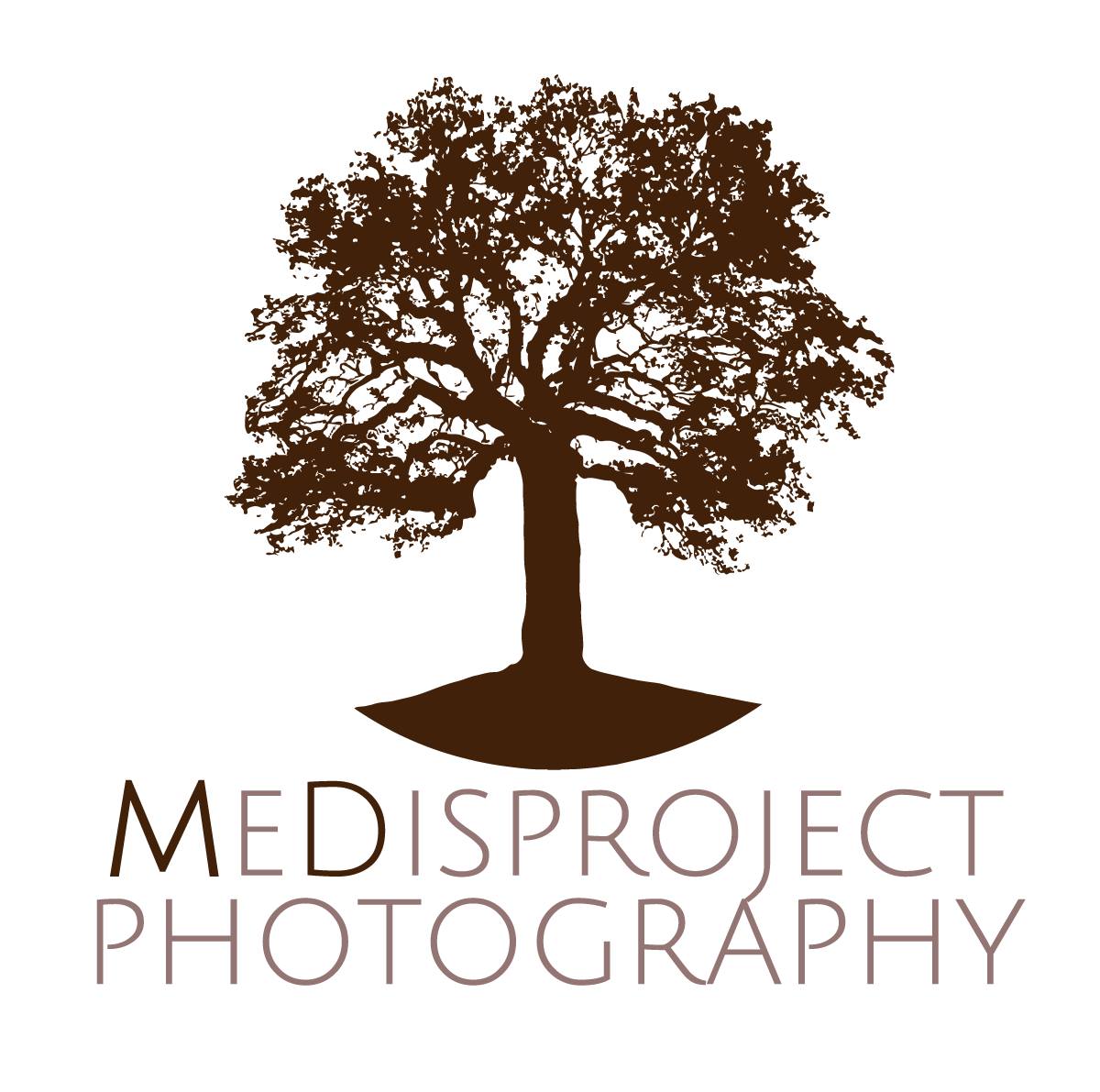 Shutter Studio — App for Virtual Photo Shoots