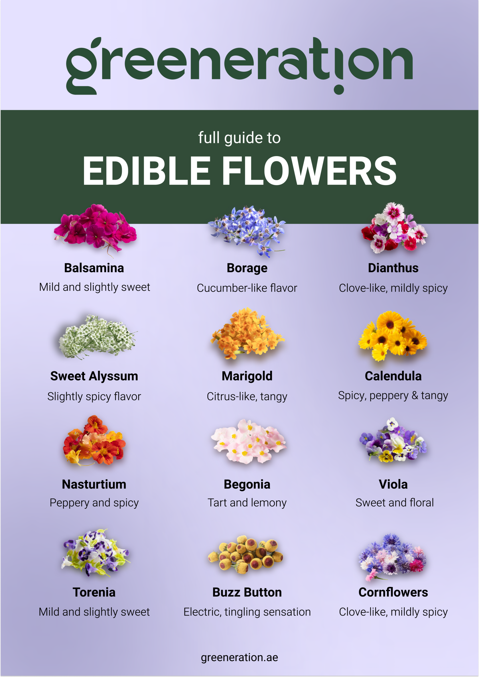 Edible Flowers List Uk