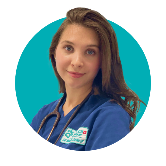 Сat vaccinations in Geneva | Plainpalais, Paquis and at home | MVET