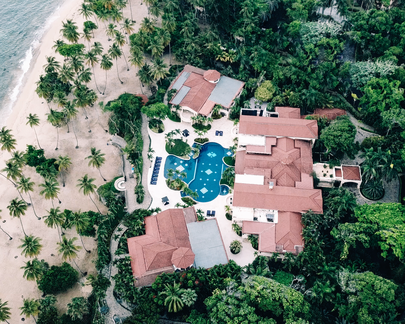 Meet the Team: World-Class Service by World-Class Staff