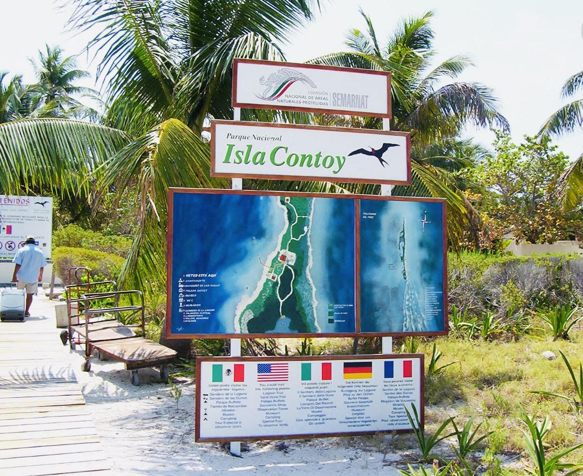 Contoy Island (Isla Contoy). Things to DO in Contoy, Mexico