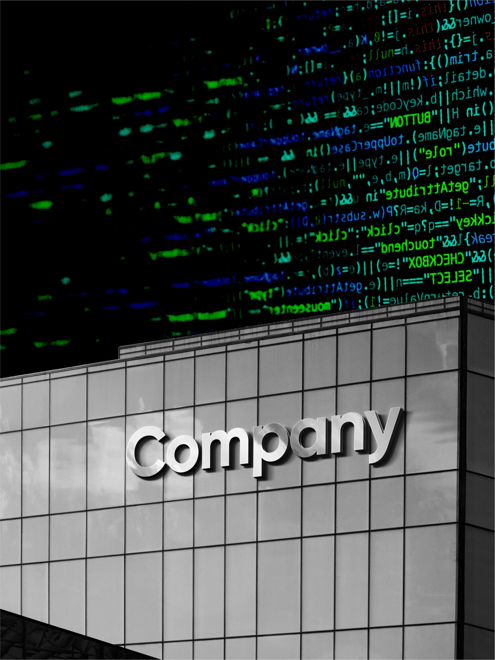 What are the types of IT companies?