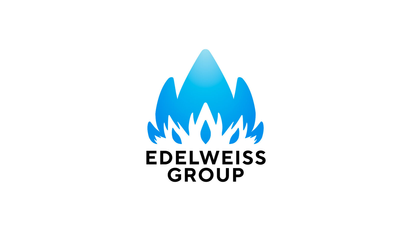 Edelweiss Construction Group