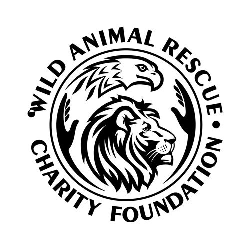 Help Animals Of Ukraine