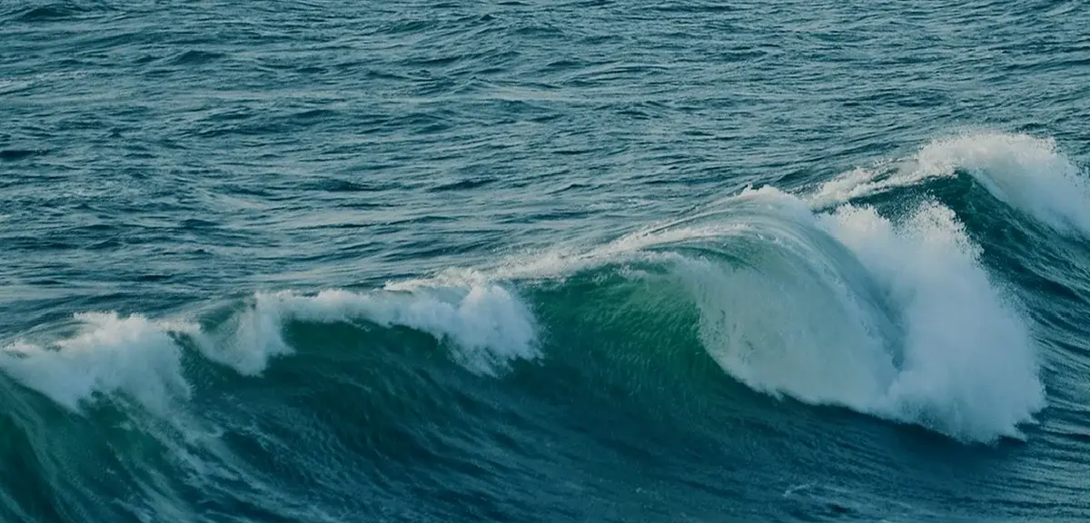 Pacchetto Surf - Desert Surf Camp | Pacchetto avventura definitivo