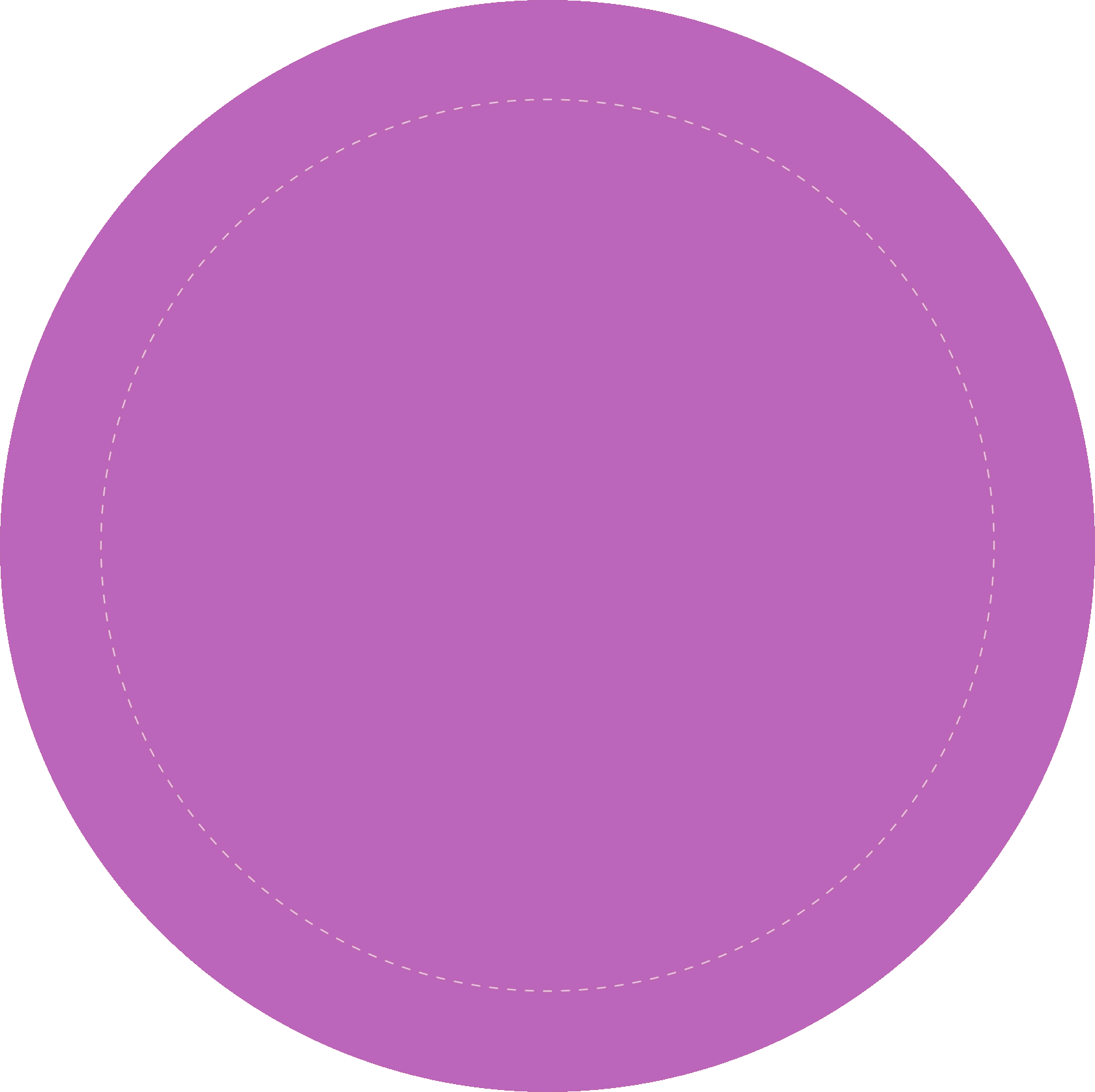 Суперфуди для собак та котів Practik SuperFood купити в Україні