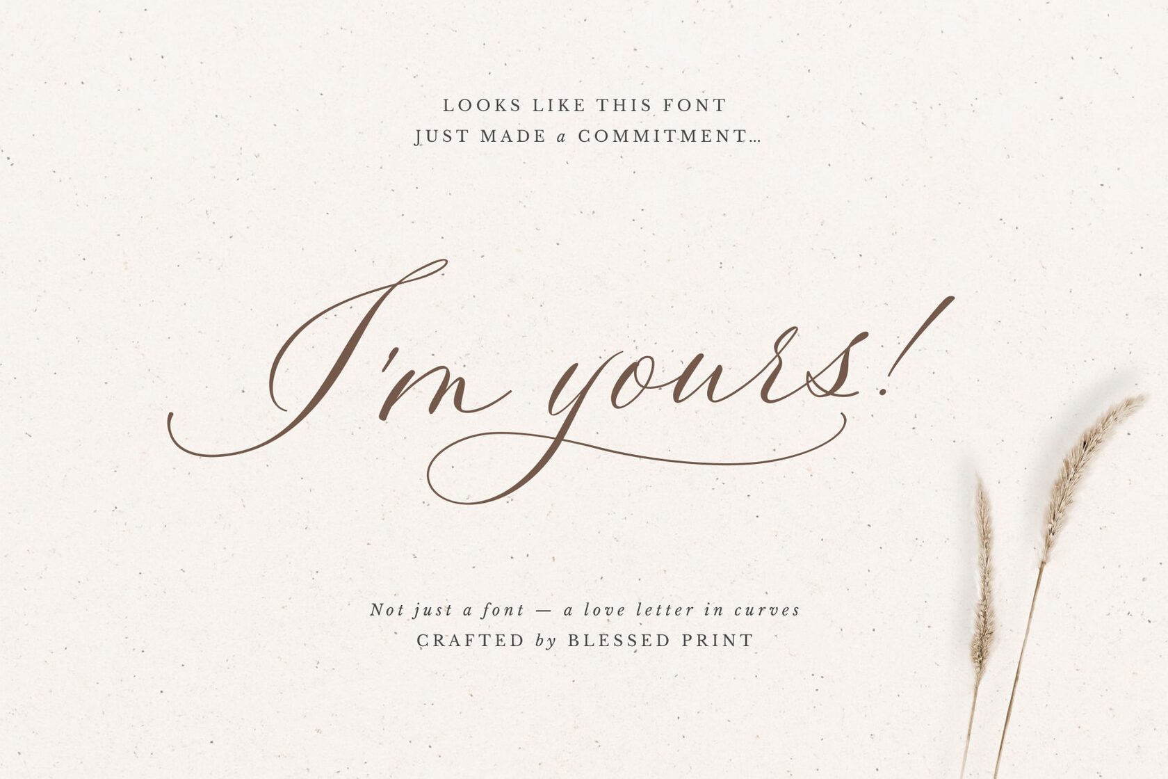 La Rumba Font | Handwritten Calligraphy by Blessed Print