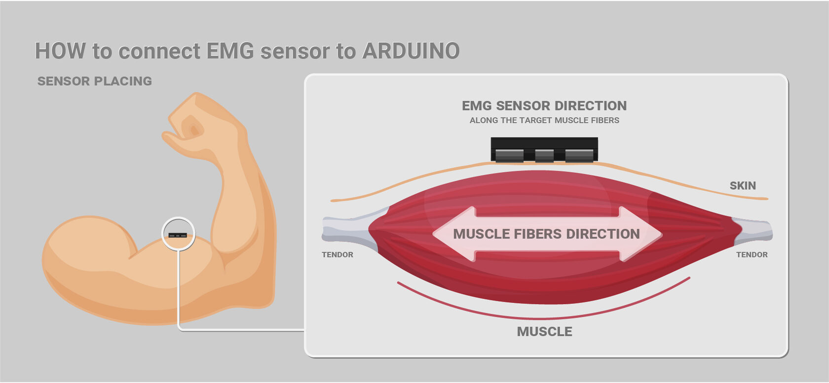 Muscle Sensor MYO v1.5: connection to Arduino