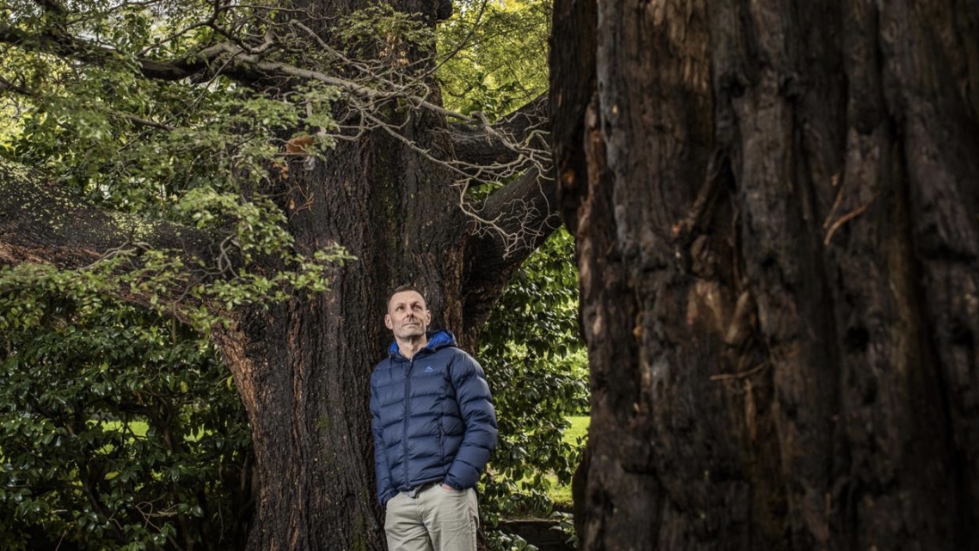 Stallard for Mayor 2025