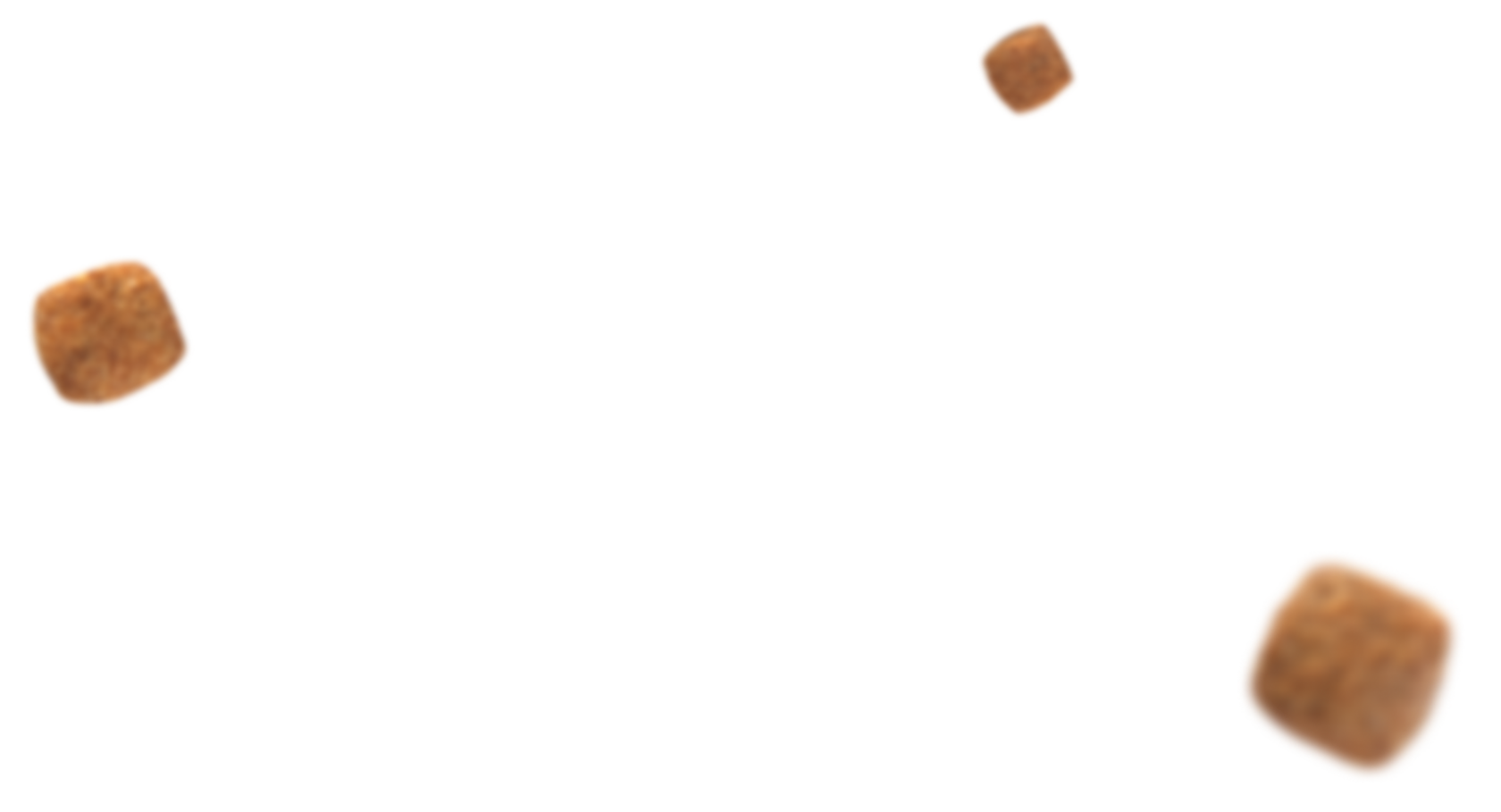 Суперфуди для собак та котів Practik SuperFood купити в Україні