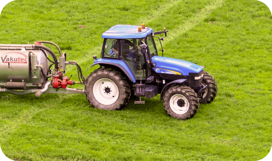 Grain trader in Dubai | Grain trading company Grainstar AST