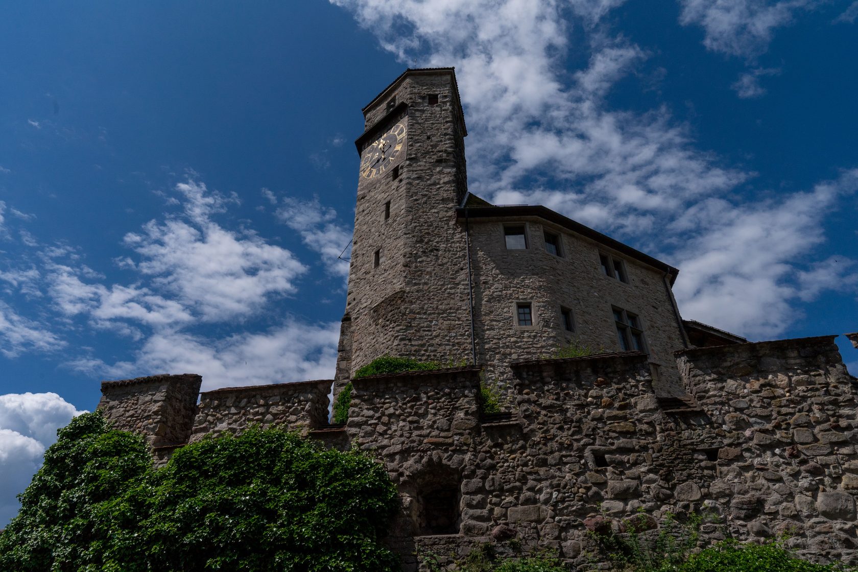 FINMA Approves First Supervisory Organizations | GOLDBLUM