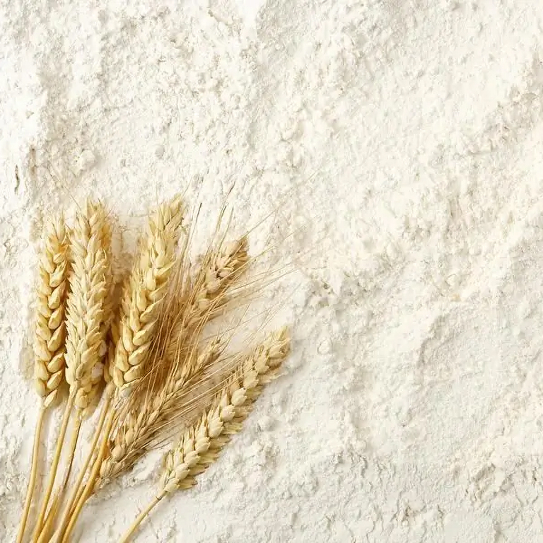 Wheat flour exporter in UAE, flour trader | Grainstar AST