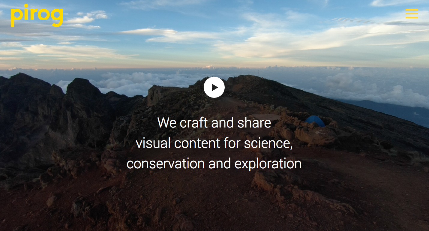 Pirog – Meet The Team