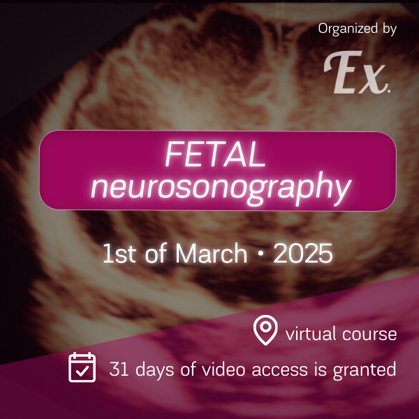 Fetal neurosonography 2025