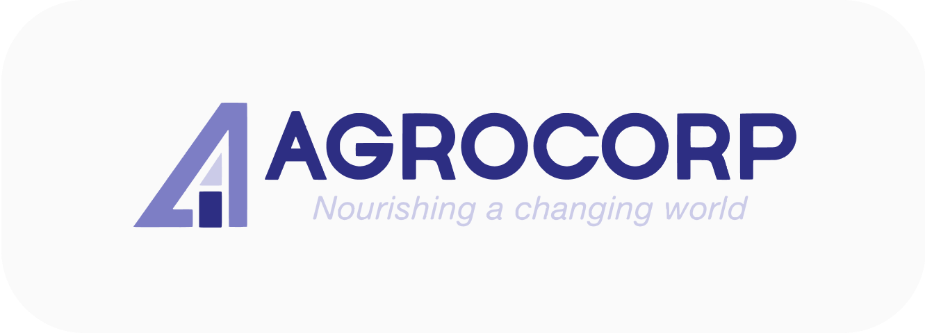 Grain trader in Dubai | Grain trading company Grainstar AST