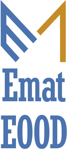 Technologies and programming languages Emat ltd