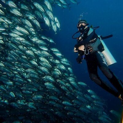 Scuba Diving Philippines, Panglao, Bohol. Tropical divers.