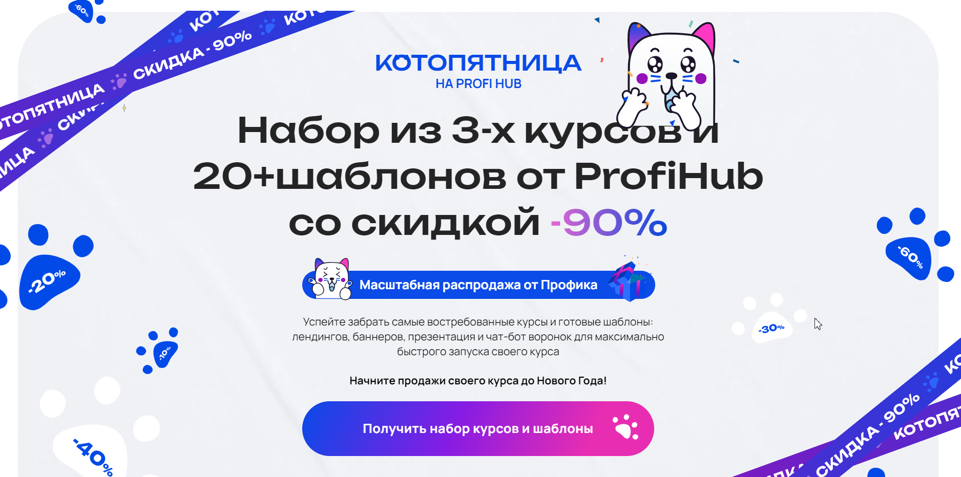 КОТОПЯТНИЦА НА PROFI HUB
