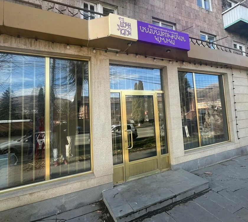 Jobs at the Shunn u Katun Veterinary Clinic in Vanadzor — Open Positions