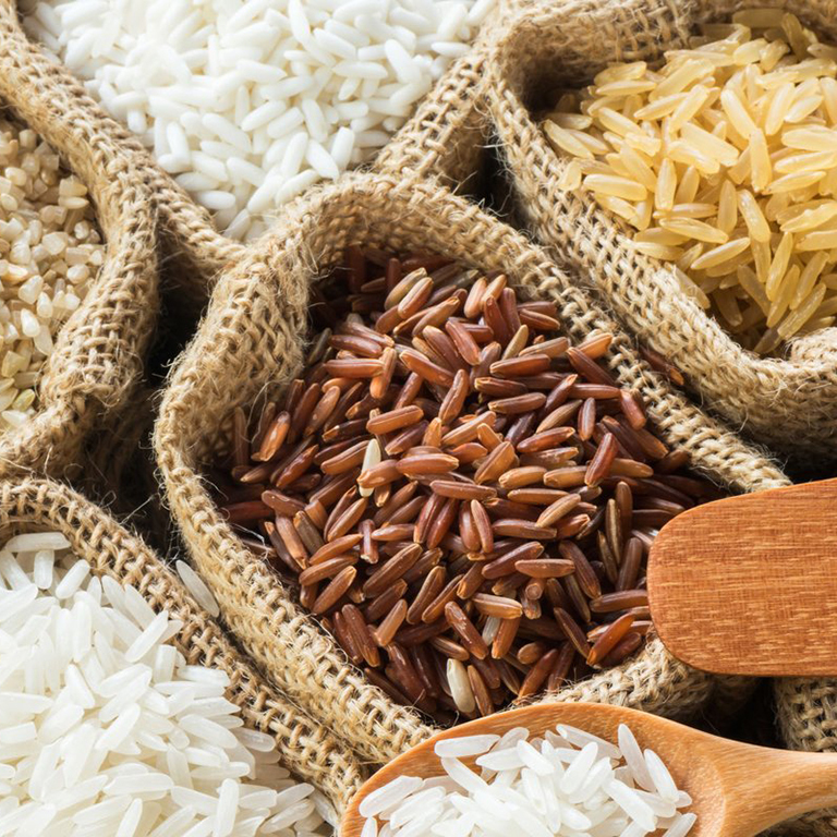 Rice supplier in UAE, rice exporter | Grainstar AST