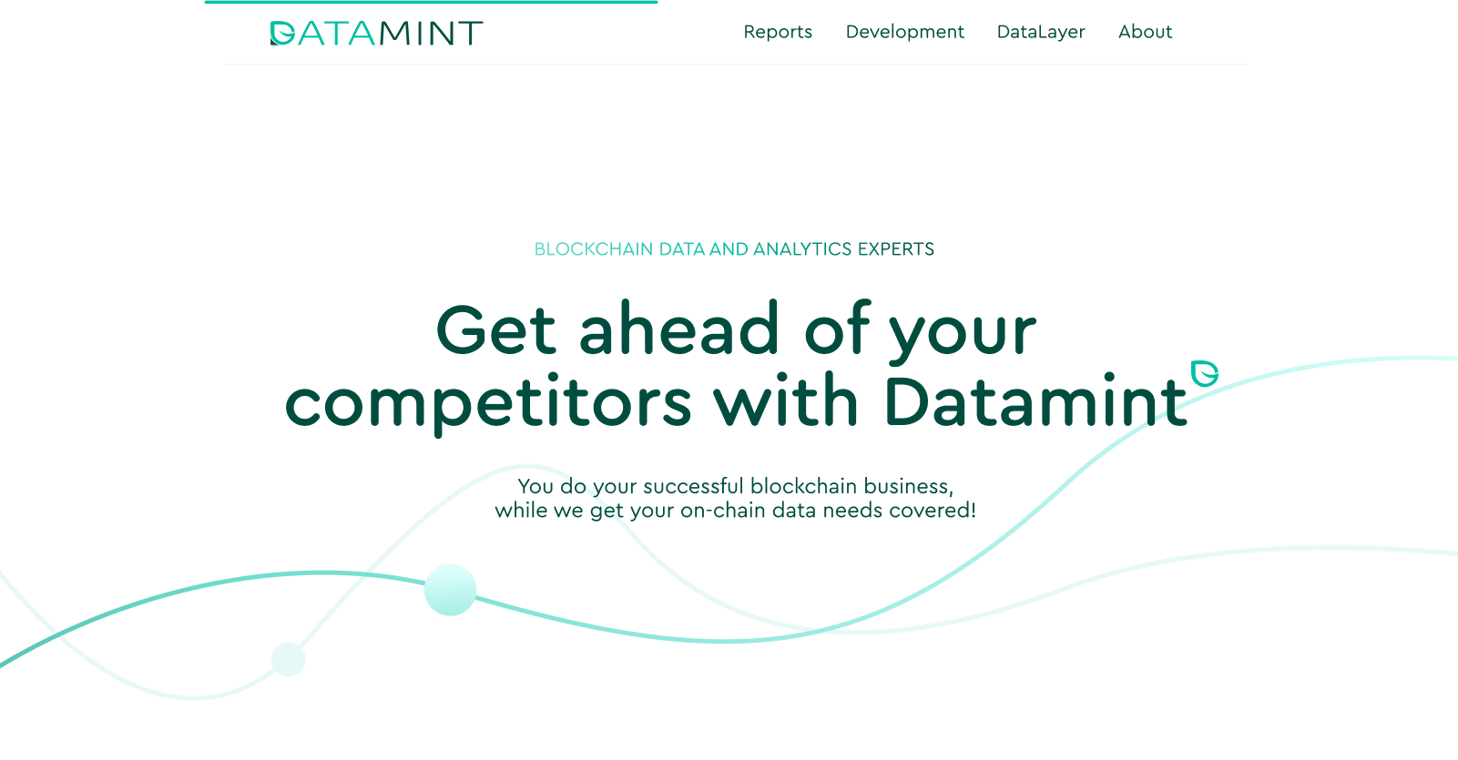 We are Datamint — Datamint team has emerged from the realm of ...