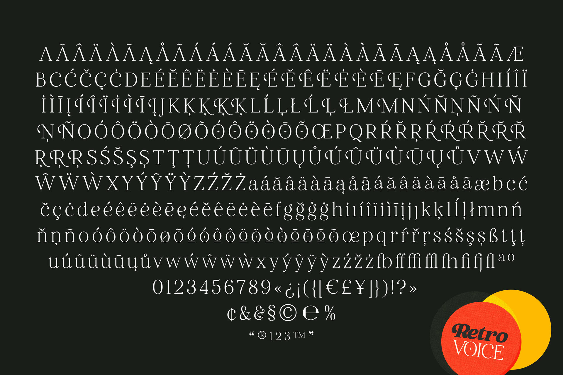 Retro Voice | Variable Serif Font by Blessed Print