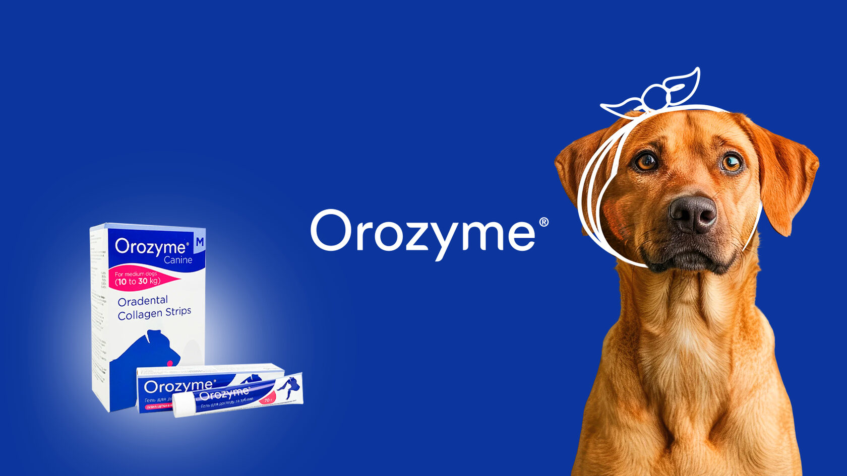 Orozyme (Орозим) - гель для чистоти та здоров'я зубів улюбленця