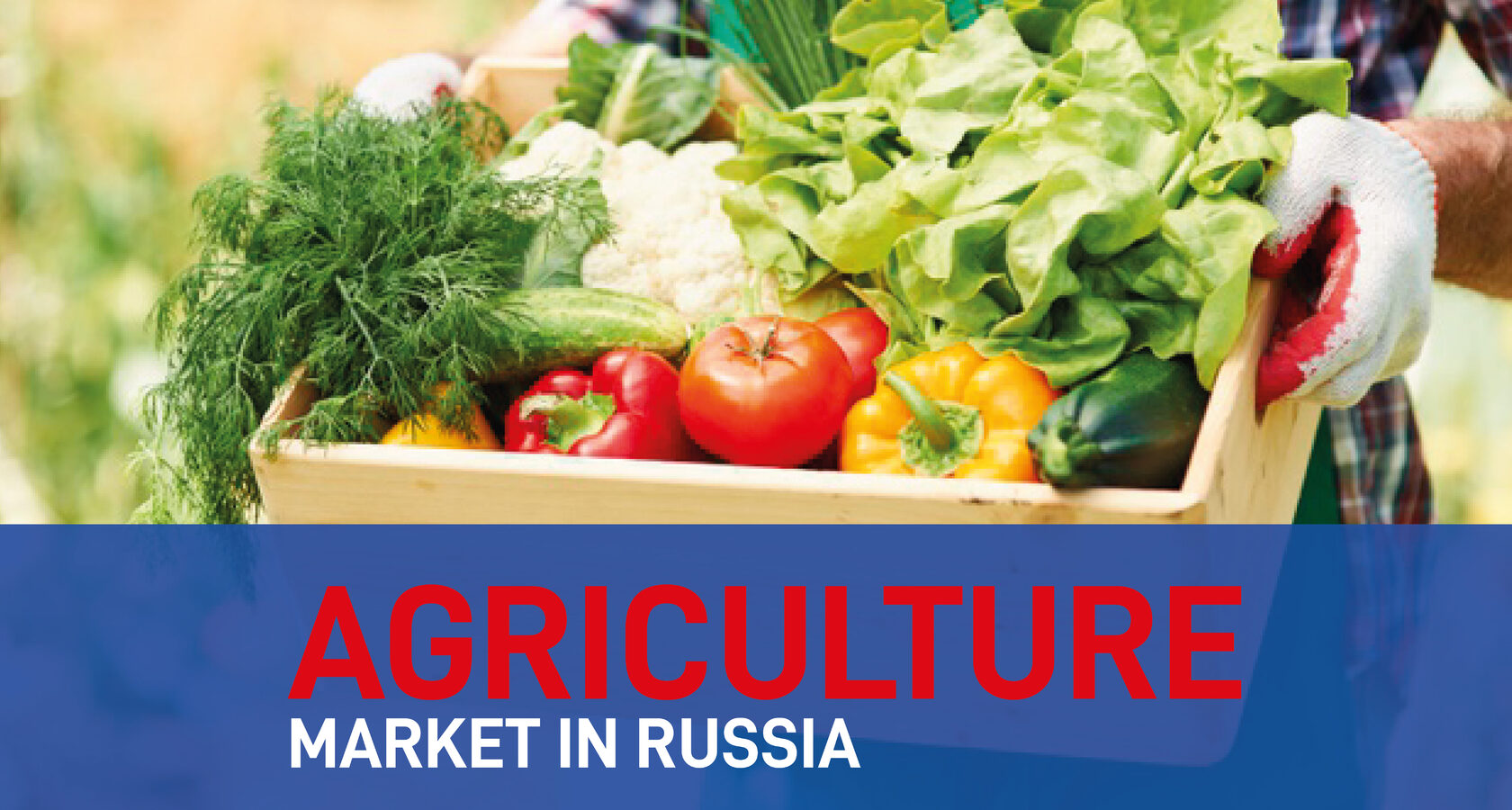 Agro-industrial complex of Russia. Overview