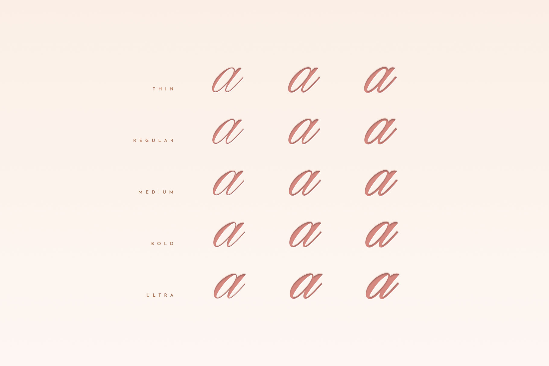 Ecatherina Font | Spencerian scripts - Blessed Print