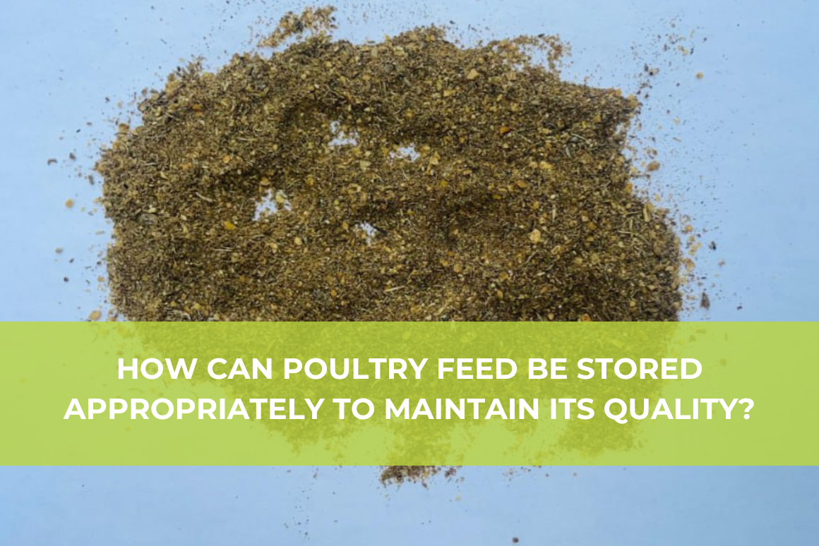 How can poultry feed be stored appropriately to maintain its quality ...