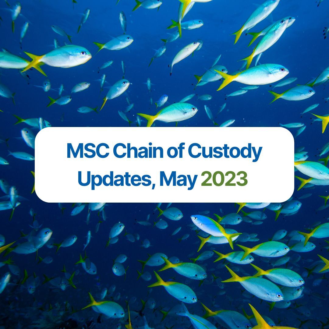 MSC Chain of Custody Updates, May 15th, 2023