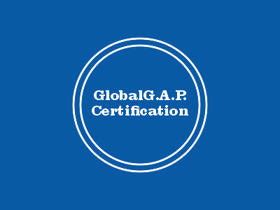 Global G.A.P. | Food production