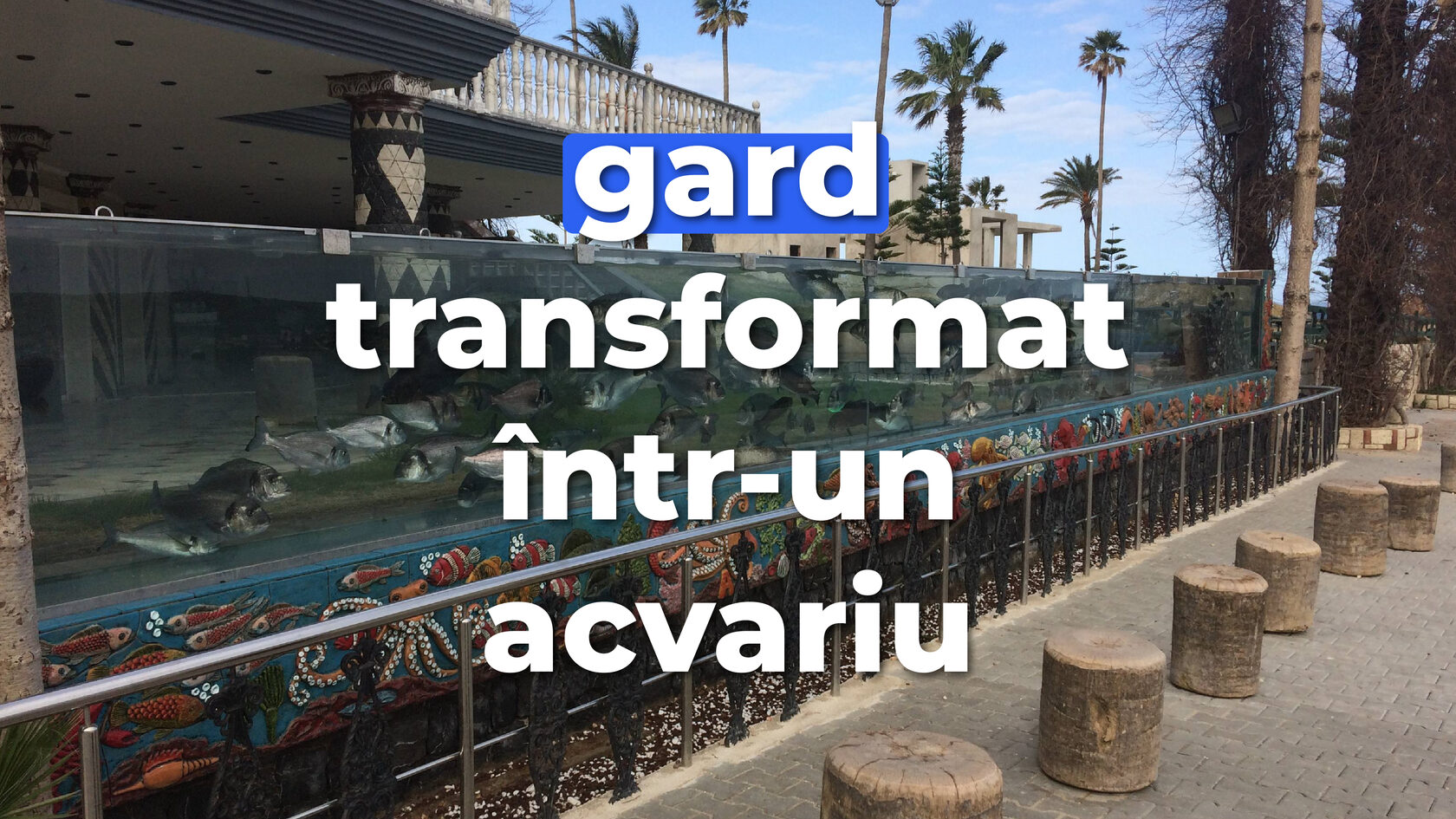Gard transformat într-un acvariu uriaș | flix construct