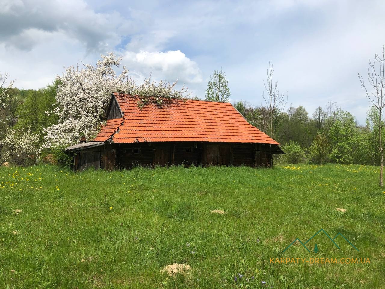Old Hutsul house with plot 74 hundred $16,000