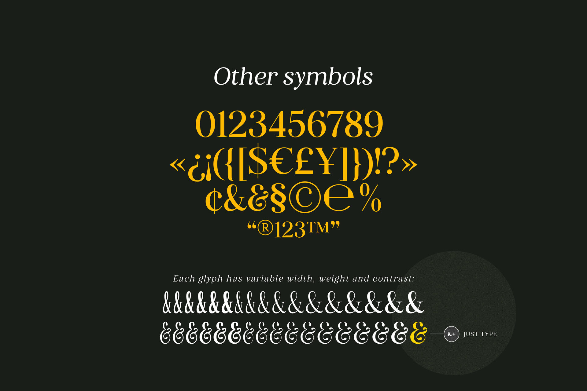 Retro Voice | Variable Serif Font by Blessed Print