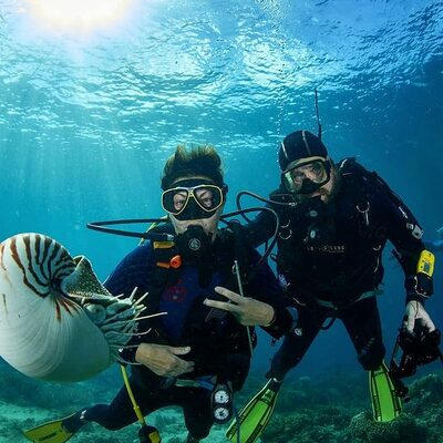Scuba Diving Philippines, Panglao, Bohol. Tropical divers.