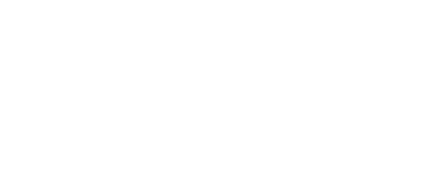 Їжа для собак середніх і великих порід та цуценят «4 протеїни» Practik Fresh