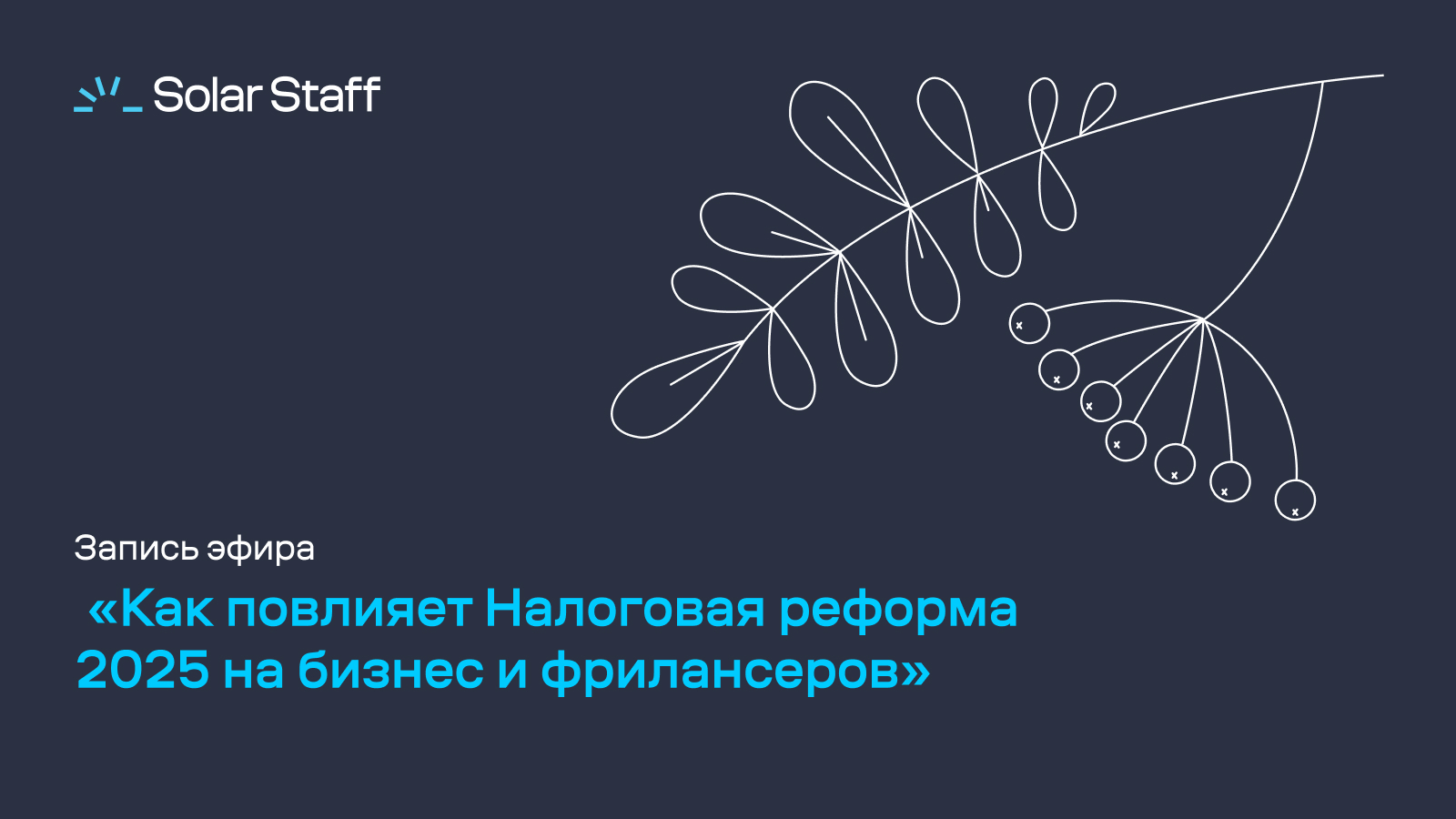 Solar Staff. Как повлияет Налоговая реформа 2025 на бизнес и фрилансеров