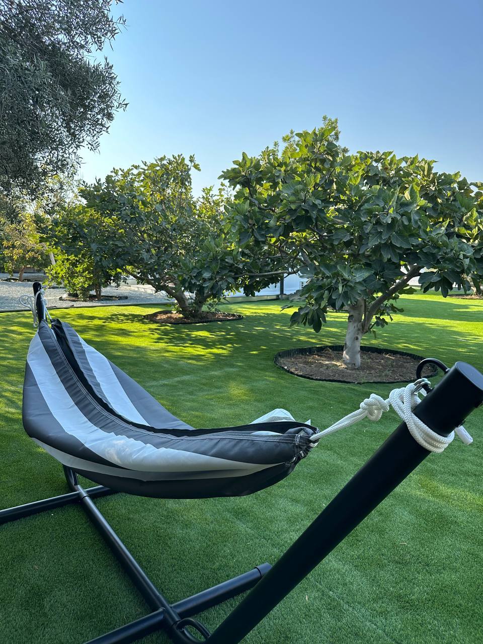 Геометрия Парк