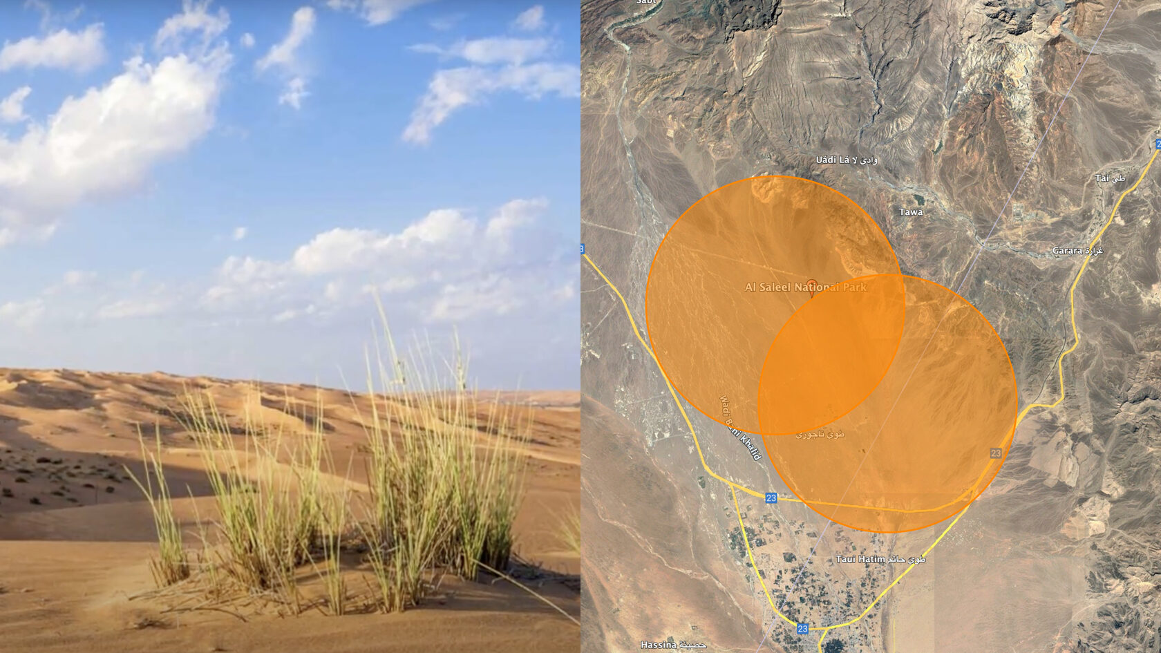 How drones are used in wildlife monitoring to protect against poaching